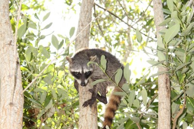 Letters From Merida Progreso Mexico | Canadian Family Blog Yucatan